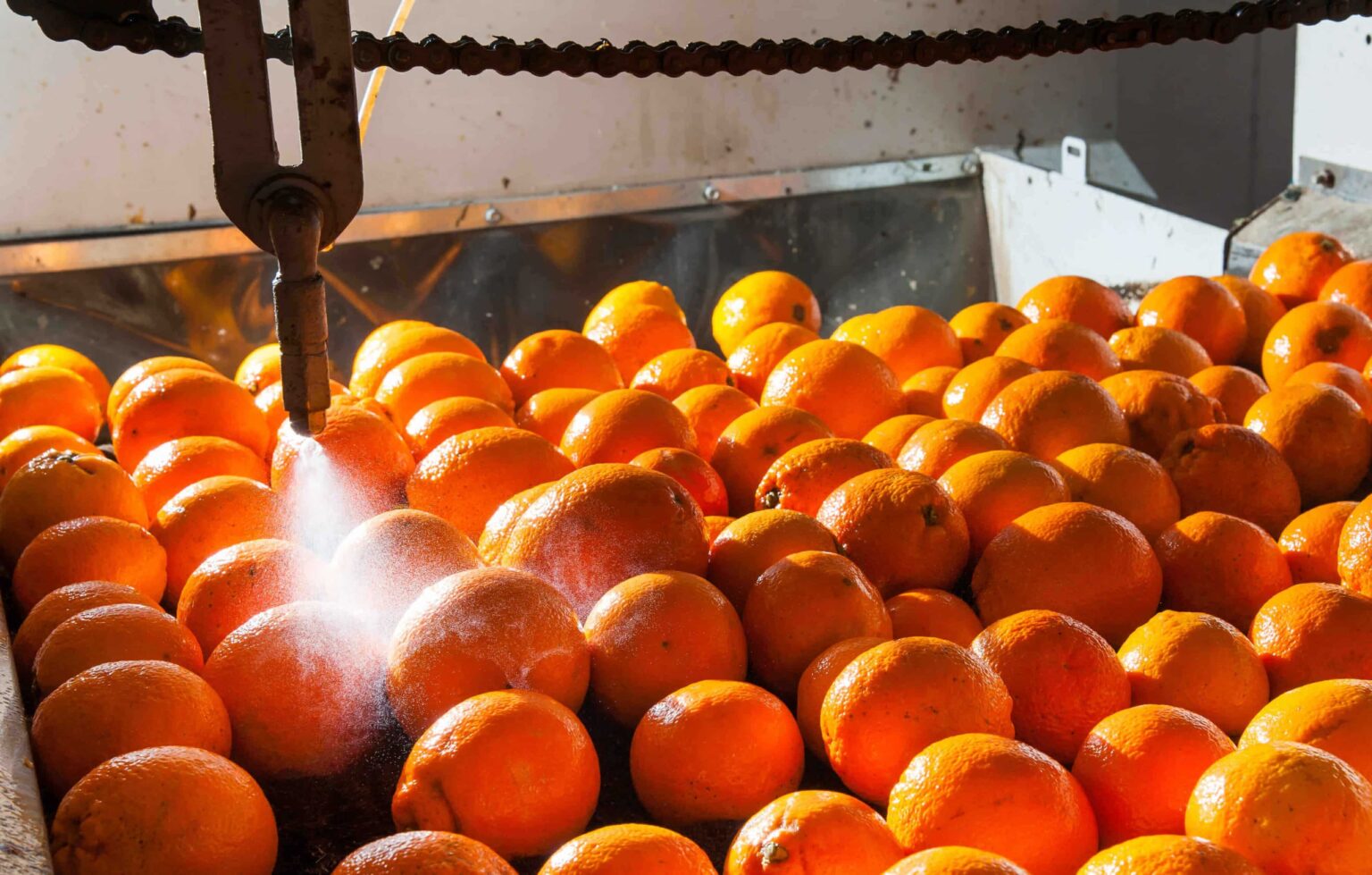 The Glossy Secret: Unveiling the World of Food Waxing - FoodManifest