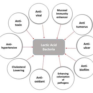 Boost Your Health with Naturally Fermented Lactic Acid Foods - FoodManifest
