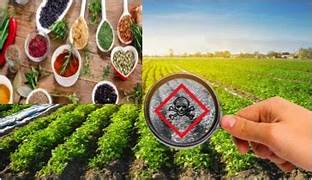 Maximum Residue Limits (MRL): Safeguarding Food Safety in India ...