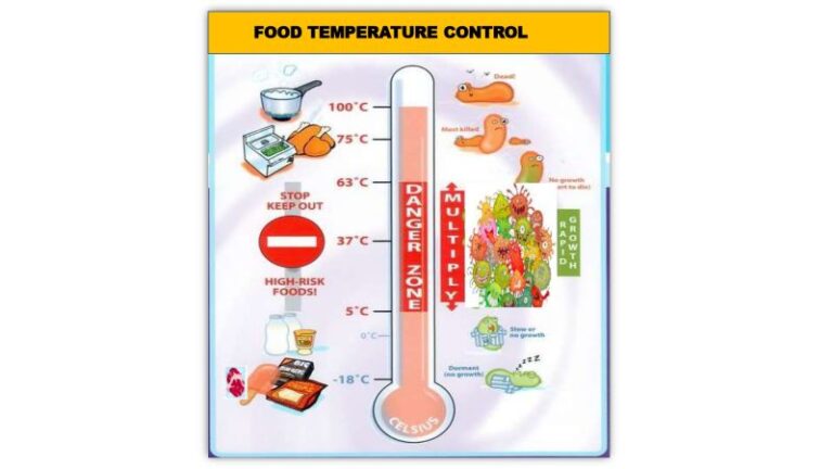 Why Temperature Matters in Food Storage - FoodManifest