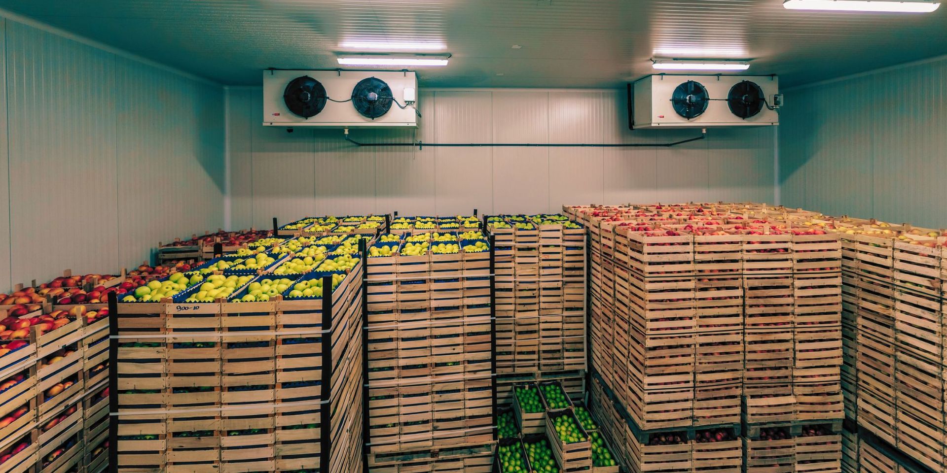 Why the Food Cold Chain Matters: Keeping Food Fresh and Safe - FoodManifest