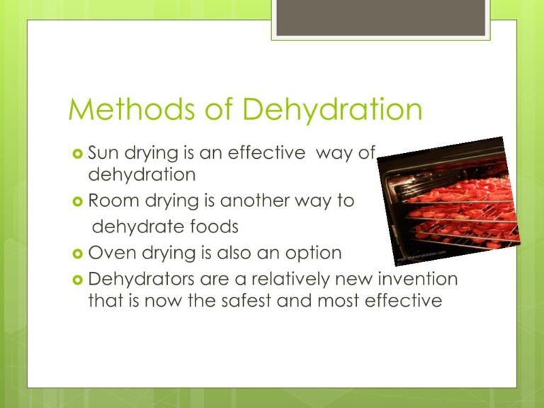 Dry It to Keep It: The Timeless Power of Food Dehydration - FoodManifest
