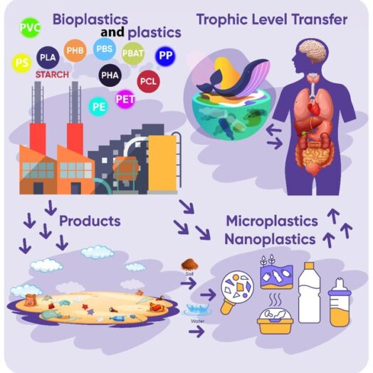 World Environment Day 2025: How Plastic Pollution Threatens Our Food ...