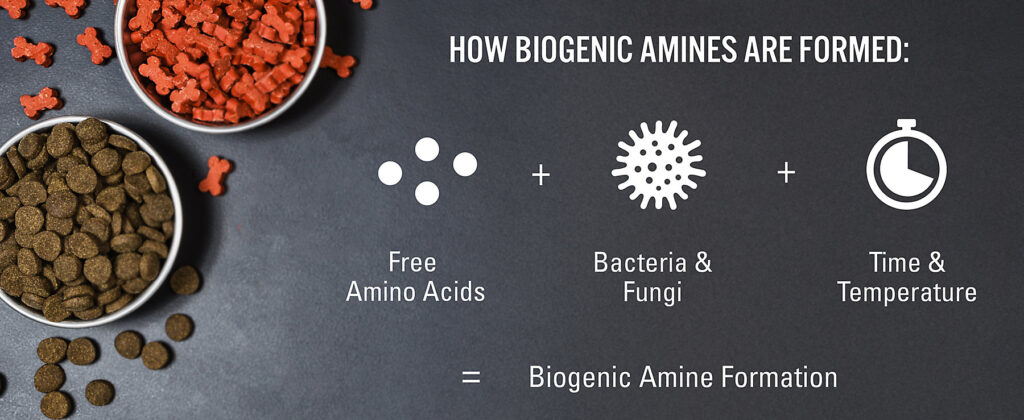 What Are Biogenic Amines and Why Should You Care About Them? - FoodManifest