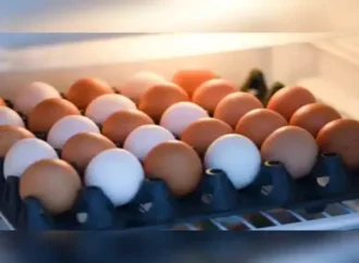 Viral Fake Egg Claims: What’s Real and What’s Not - FoodManifest